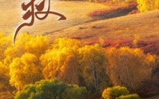 立秋风景图片怎么拍_立秋摄影技巧有哪些