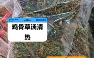 鸡骨草汤的功效与作用_鸡骨草汤怎么做
