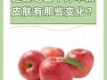 吃苹果15天皮肤变好_多久见效