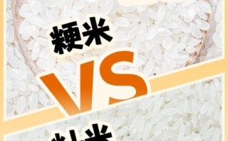 籼怎么读拼音_籼米与粳米的区别