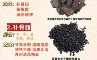 男人气血两虚怎么补_气血两虚吃什么好