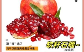 红石榴怎么吃最好_红石榴籽要不要嚼