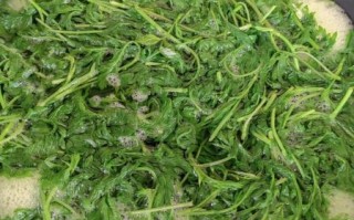 糯米艾草青团子怎么做_青团子不裂不破的秘诀