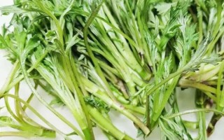 藜蒿和芦蒿的区别_哪个更好吃