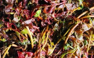 香椿芽咸菜怎么腌制_香椿芽咸菜家常做法