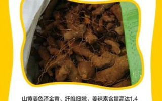 野生黄姜的功效与作用_野生黄姜怎么吃效果最好