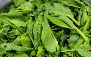 豌豆尖的功效与作用_豌豆尖怎么吃最营养