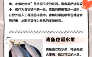 青鱼苗吃什么_青鱼苗饲料选择