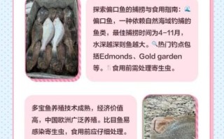鲆鱼图片大全_鲆鱼与多宝鱼区别