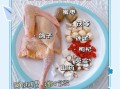 一个月吃几只鸽子最补_鸽子汤多久喝一次不上火
