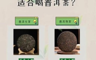 喝普洱茶的好处和禁忌_普洱茶什么人不能喝