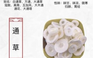 通草的功效与作用_通草的禁忌症有哪些