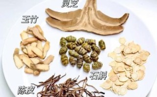 石斛煲汤食谱大全_石斛和什么煲汤最好