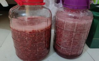 纯酿草莓酒怎么做_草莓酒发酵失败原因