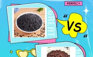 紫米和黑米哪个好_紫米和黑米的区别