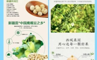 鹰嘴豆的功效与作用_鹰嘴豆的营养价值