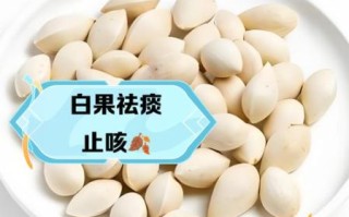 白果怎么吃才安全_白果禁忌有哪些