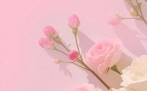 温柔治愈系背景图片_如何挑选