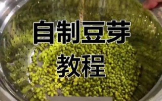 自制豆芽的方法_家庭发豆芽的窍门