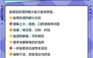 白菊花泡水喝的功效与禁忌_白菊花和胎菊哪个好