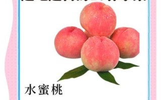 美白吃什么水果好_哪些水果能变白