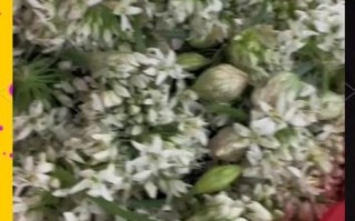 韭菜花怎么做好吃_韭菜花酱的正宗做法