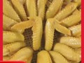 盐焗鸡翅鸡腿怎么做_盐焗鸡翅鸡腿的正宗做法