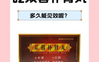 补肾的食物有哪些中药_肾虚吃什么中药调理