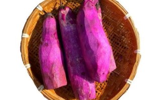 紫色大薯的功效与作用_紫色大薯能减肥吗