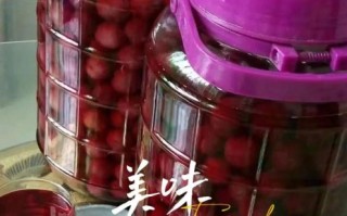 杨梅酒怎么泡_六斤杨梅酒制作方法比例