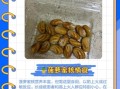 菠萝蜜的核能吃吗_怎么吃才安全