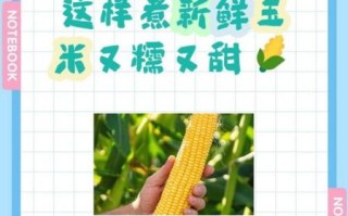 鲜玉米怎么煮_鲜玉米煮多久才甜
