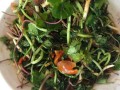 马蹄草副作用有哪些_马蹄草禁忌人群