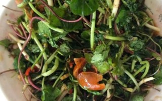 马蹄草副作用有哪些_马蹄草禁忌人群