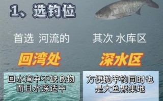 水深6一7米钓鲢鳙应该钓多深_最佳钓层怎么找