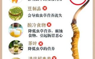 虫草的功效与作用禁忌_哪些人不能吃虫草