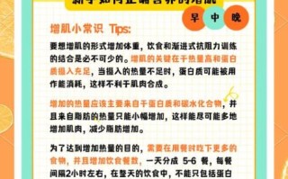 健身增肌三餐食谱_如何安排增肌饮食