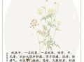 蛇床子的功效与作用_蛇床子能提高性功能吗