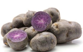 黑土豆产地在哪里_黑土豆哪里产的好吃