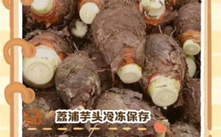 荔浦芋头怎么保存_荔浦芋头能放多久