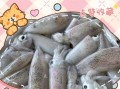 鱿鱼仔怎么清洗图解_鱿鱼仔清洗内脏步骤