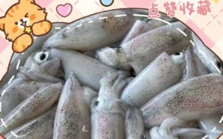 鱿鱼仔怎么清洗图解_鱿鱼仔清洗内脏步骤