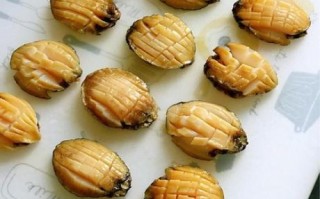 红烧鲍鱼怎么做_家常红烧鲍鱼做法大全