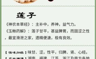 莲子功效与作用禁忌_哪些人不适合吃