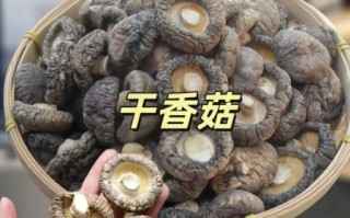 干香菇要泡多久最好_干香菇怎么泡发才最香