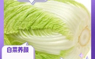 白菜的功效与作用及禁忌_什么人不能吃白菜