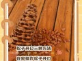 野生松子怎么炒能开口_松子不开口怎么办
