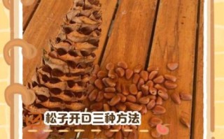 野生松子怎么炒能开口_松子不开口怎么办