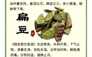 扁豆角的功效与作用_孕妇可以吃扁豆角吗
