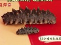 晓芹海参价格多少钱一斤_晓芹海参和獐子岛海参哪个好